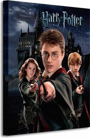 Harry Potter Ron Hermiona Obraz na plátně 40x50