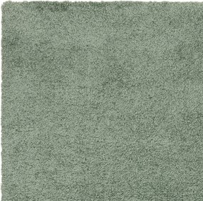 Tribeca Design Kusový koberec Cocoo Sage Rozměry: 200x290 cm