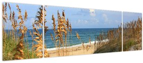 Obraz - Pláž (170x50 cm)