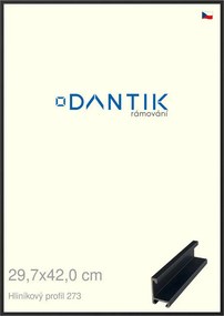 DANTIK rámeček 29,7x42 | ALU profil 7273 Černá matná (Plexi Čiré)