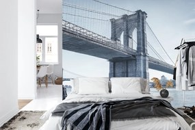 Fototapeta Brooklyn Bridge Ny Hladký vinyl 368x280