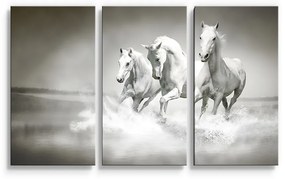 Sablio Obraz - 3-dílný Bílí koně - 120x80 cm
