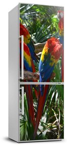 Wallmuralia Foto nálepka na ledničku stěnu Papoušci Ara 60x180 cm