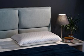 Perdormire přírodní polštář s dvojí tuhostí Bio Double 72x42 cm + povlak na polštář zdarma