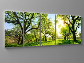 Liox Obraz zelená alej Rozměr: 125 x 50 cm
