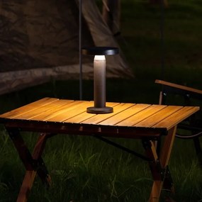 Zuma Line DT33611 - LED Solární lampa CARLI LED/2W/2000 mAh IP44 černá