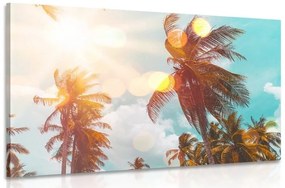 Obraz paprsky slunce mezi palmami - 120x80 cm