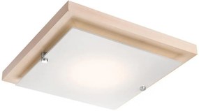 Stropní světlo led stropní svítidlo 1xled/12w/230v