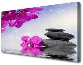 Obraz na plátně Květiny Kameny Rostlina 100x50 cm