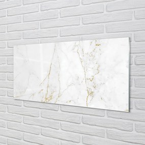 akrylový obraz Marble kamenná zeď 100x50 cm