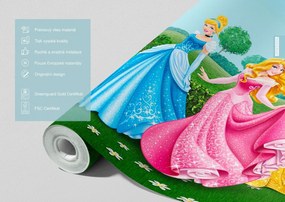 Dětská vliesová fototapeta na zed' Princezny, Disney | 202 x 90 cm | DFTDNH 5325