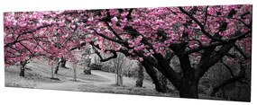 Obraz na plátně Cherry tree alley PC017 30x80 cm