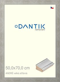 DANTIK rámeček 50x70 | ANDRÉ velká stříbrná (Plexi Čiré)