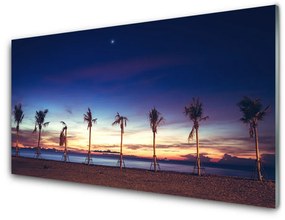 Obraz na skle Palma Strom Moře Krajina 140x70 cm