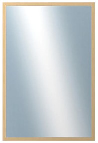 DANTIK - Zarámované zrcadlo - rozměr s rámem cca 40x60 cm z lišty KASSETTE jasan malá (2864)