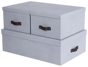 Světle šedé kartonové úložné boxy s víkem v sadě 3 ks 31x47x15 cm Inge – Bigso Box of Sweden