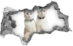 Wallmuralia Nálepka fototapeta 3D na zeď Bílé kočky 95x73 cm