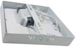LED Stropní svítidlo LED/12W/230V 3000K