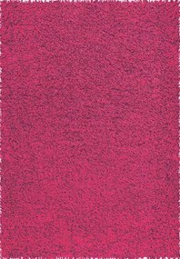 Spoltex | Kusový koberec Spoltex Expo Shaggy 5699/322 80x150 cm, obdélník, barva fialová