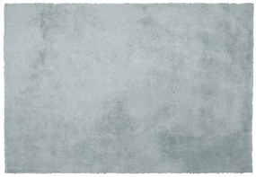 Koberec shaggy 160 x 230 cm mátový EVREN Beliani