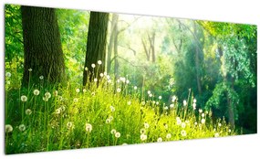 Moderní obrazy přírody (100x40cm)