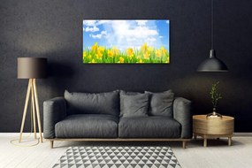 Obraz na skle Narcisy Louka Tráva Příroda 125x50 cm