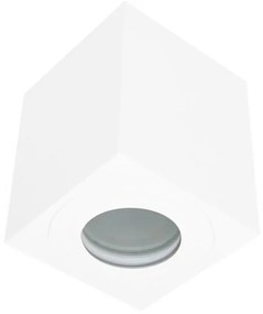 BOWI | Venkovní bodové svítidlo SARA 1xGU10/30W/230V IP54 bílá | BW0054