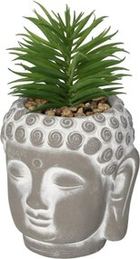 Dekorace Succulent I Buddha 17cm