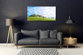 Obraz na skle Louka Stromy Krajina 100x50 cm