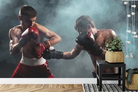 Fototapeta Profesionální Zápas Boxera Hladký vinyl 368x280