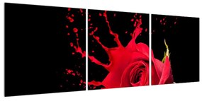 Obraz růže (120x40 cm)