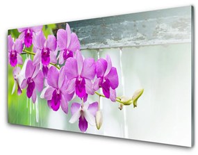 Obraz na skle Orchideje Kapky Příroda 125x50 cm