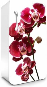 Fototapeta na lednici Orchid 65 x 120 cm FR120-014