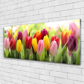 Plexisklo-obraz Tulipány Květiny Příroda 125x50 cm