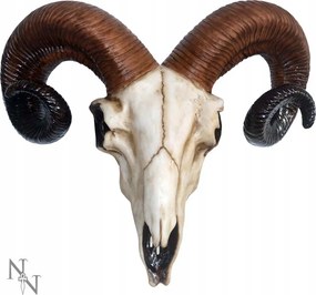 Rogi Rams Skull Nástěnná Ozdoba 34 cm Originál