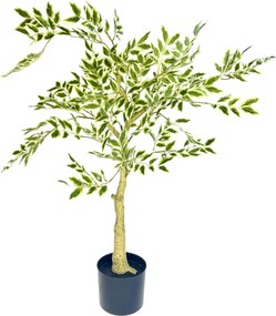 XXXLutz FIKUS BENJAMÍN - Umělé rostliny - 0051400216
