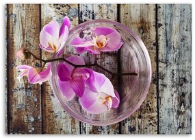Gario Obraz na plátně Orchidej na pozadí prken Rozměry: 60 x 40 cm