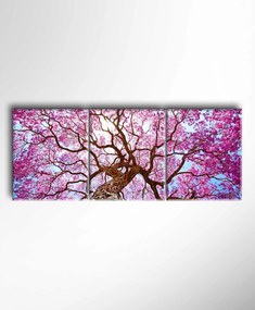 Malvis ® Obraz Rozkvetlý strom s růžovými květy ROZMĚR (šířka x výška): jednodílný obdélník 150x100 cm