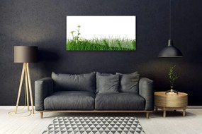 Obraz na skle Plevel Příroda Rostlina 140x70 cm