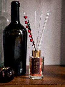 Sinsay - Vonný difuzér s tyčinkami Star Anise & Orange - jantarová