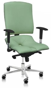 Zdravotní židle Steel Standard+ II / zelená