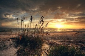 Samolepící fototapeta západ slunce na pláži - 300x270