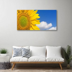 Obraz na plátně Slunečnice Mraky 140x70 cm