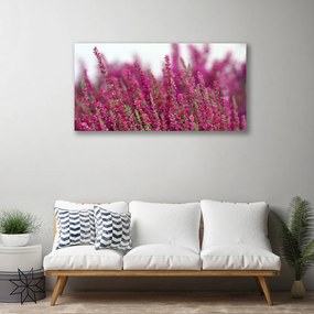 Obraz na plátně Květiny Louka Příroda 100x50 cm