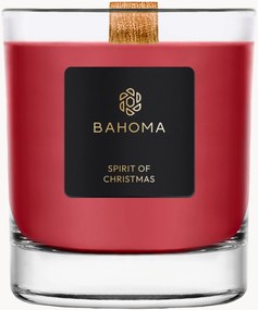 Ručně vyrobená vonná svíčka Sprit of Christmas (černý rybíz, hřebíček a ambra)