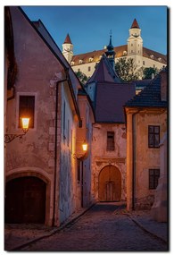 Obraz na plátně - Bratislava staré město s hradem vzadu- obdélník 7265A (75x50 cm)