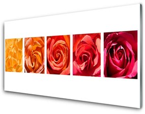 akrylový obraz Růže Květiny Rostlina 140x70 cm