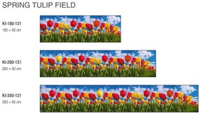 DIMEX | Fototapeta do kuchyně Pole tulipánů KI-260-131 | 260 x 60 cm | zelená, modrá, červená, žlutá