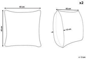 Sada 2 sametových polštářů s geometrickým vzorem 45 x 45 cm šedých ASPIDISTRA Beliani