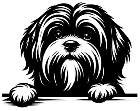 Samolepka pes Lhasa Apso